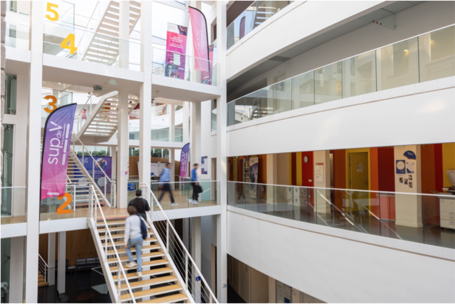 SUP de V : une école au cœur de l’évolution des métiers du commerce et du management