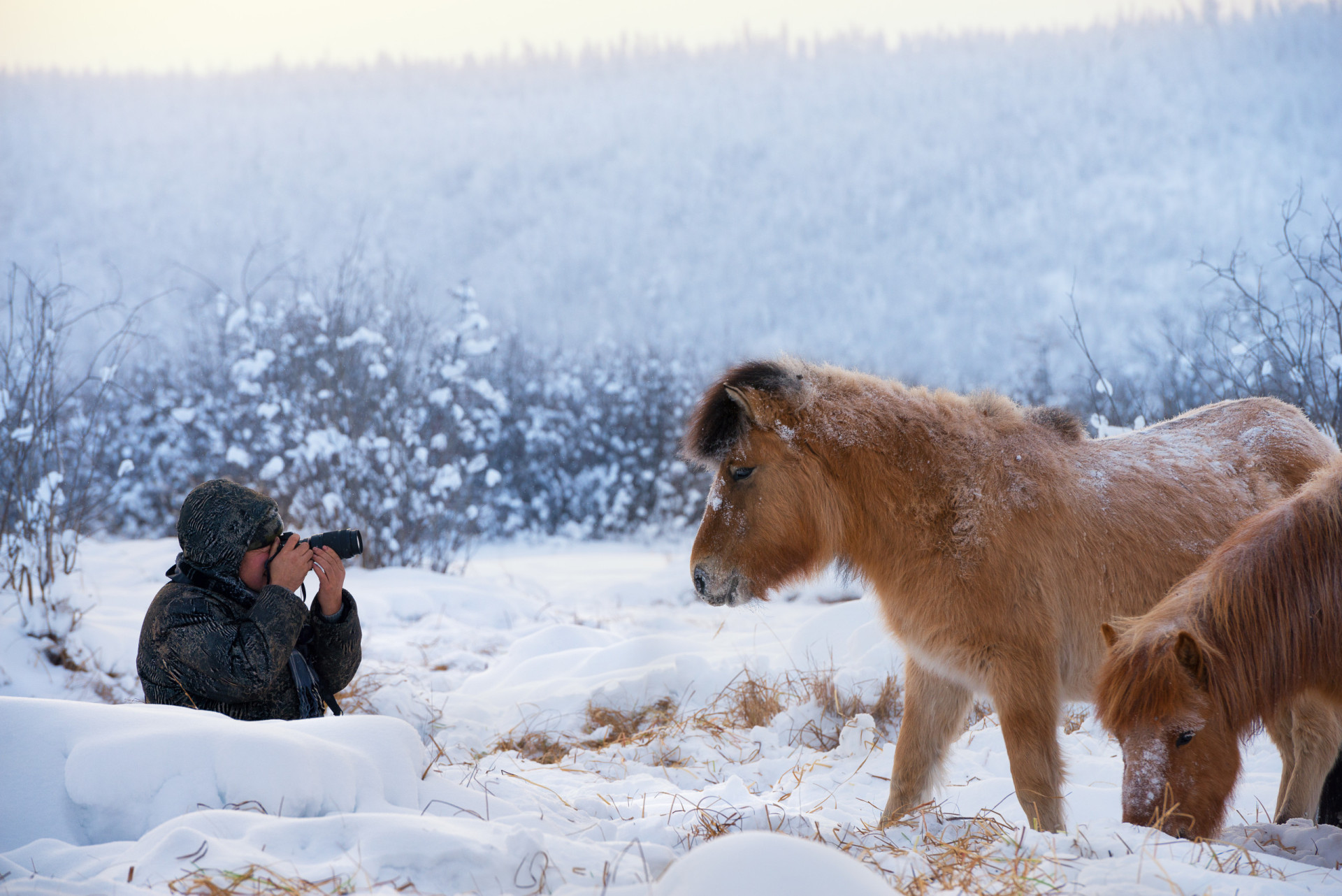 Toto je nejchladnější obydlené místo na Zemi