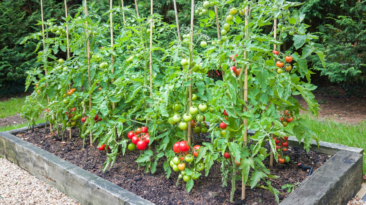 12 easy landscaping projects you can do in a weekend