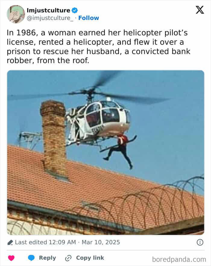 50 Fascinating Posts For Curious Minds With A Perpetual Thirst For ...