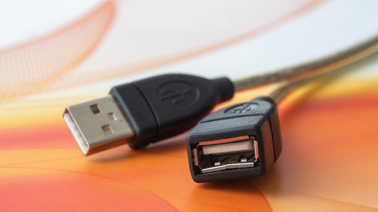 Male Vs. Female USB Ports: What's The Difference?