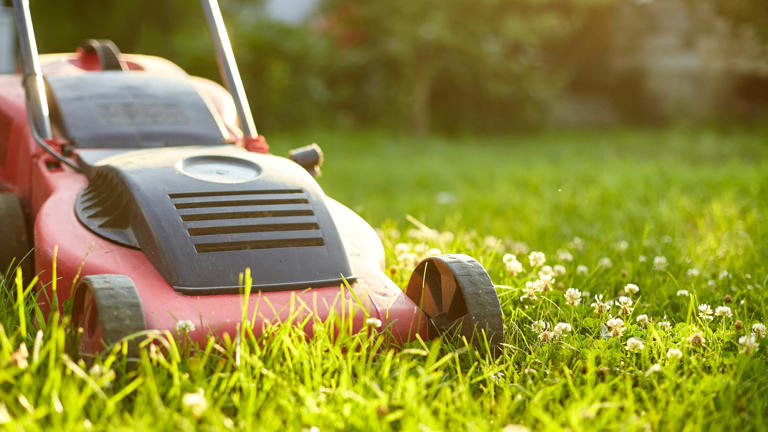 How to sharpen a lawn mower blade in 5 simple steps (and save your grass)
