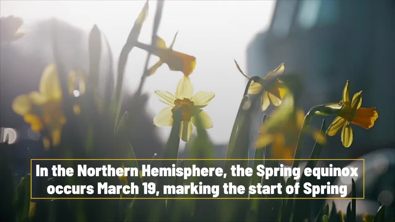 What Is Daylight Saving Time?