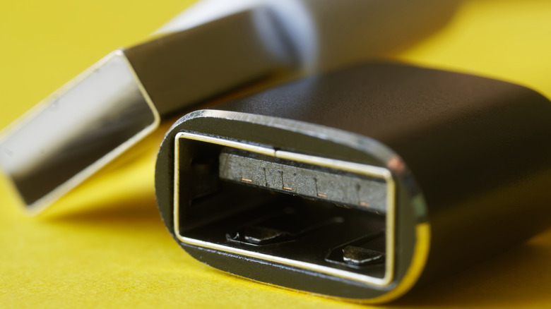 Male Vs. Female USB Ports: What's The Difference?