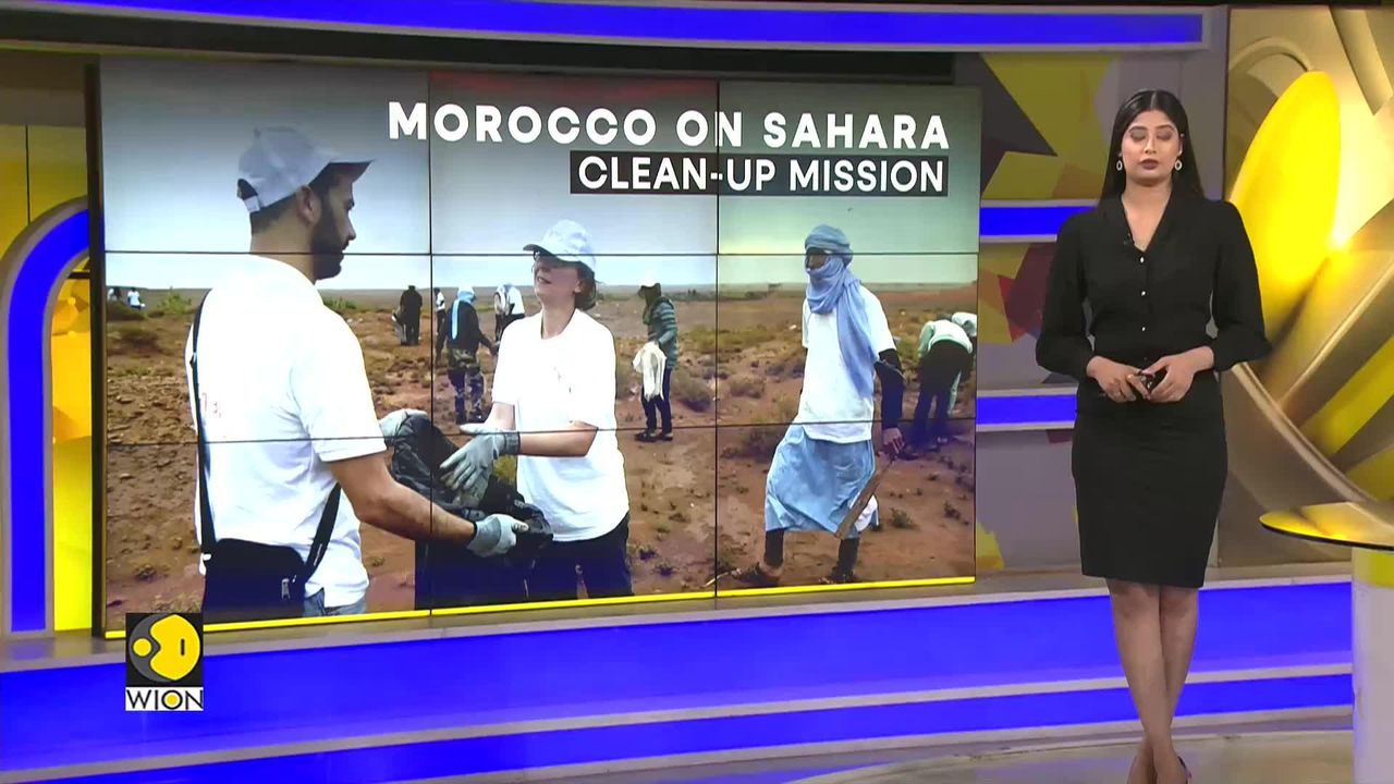 Morocco volunteers on Sahara clean-up mission; 600 kgs of waste ...