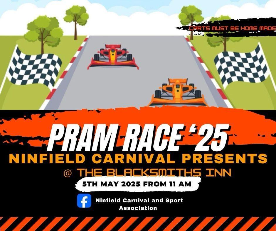 Ninfield Village Voice