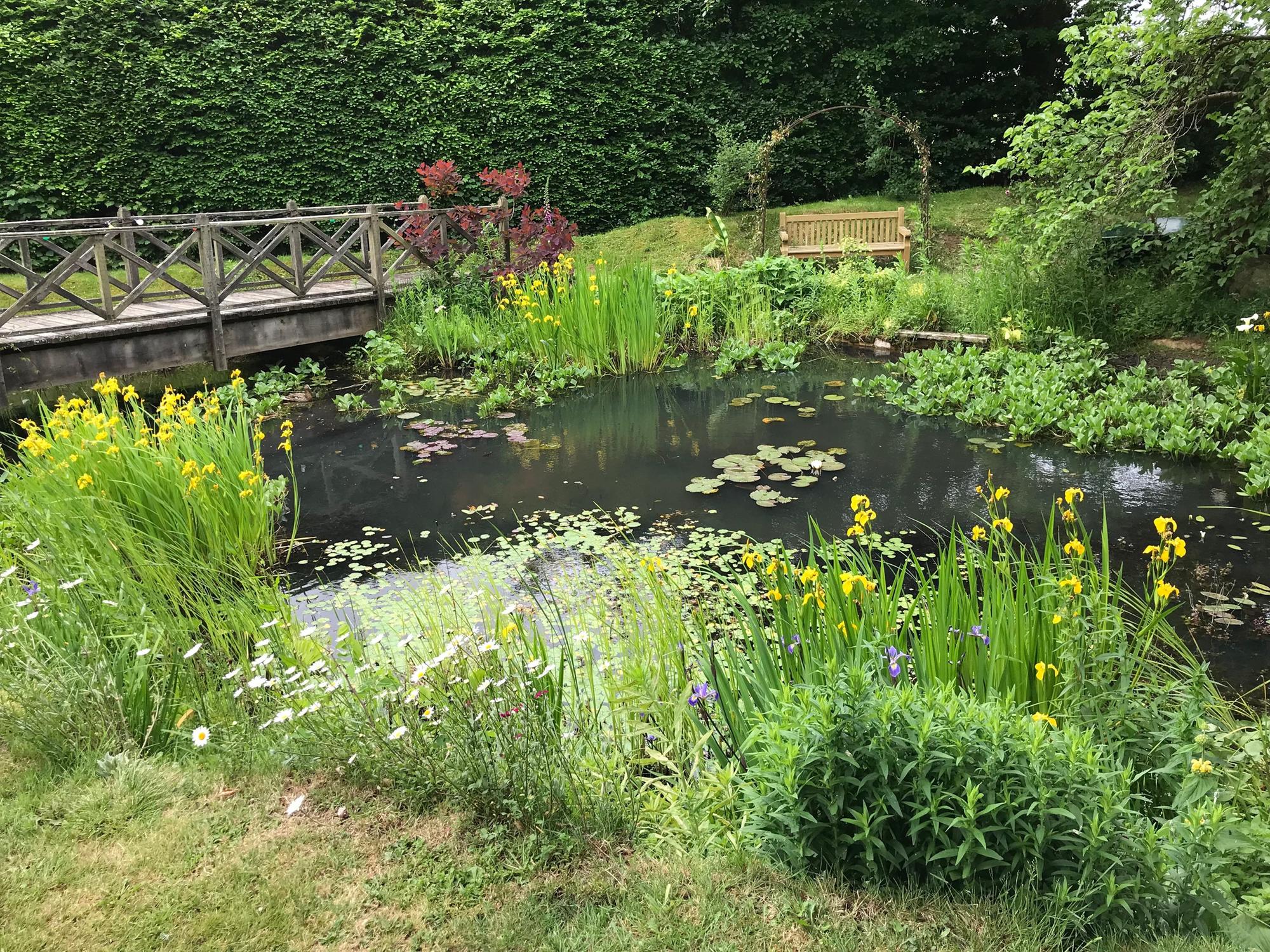 The National Garden Schemes has 15 beautiful NGS gardens opening in and ...