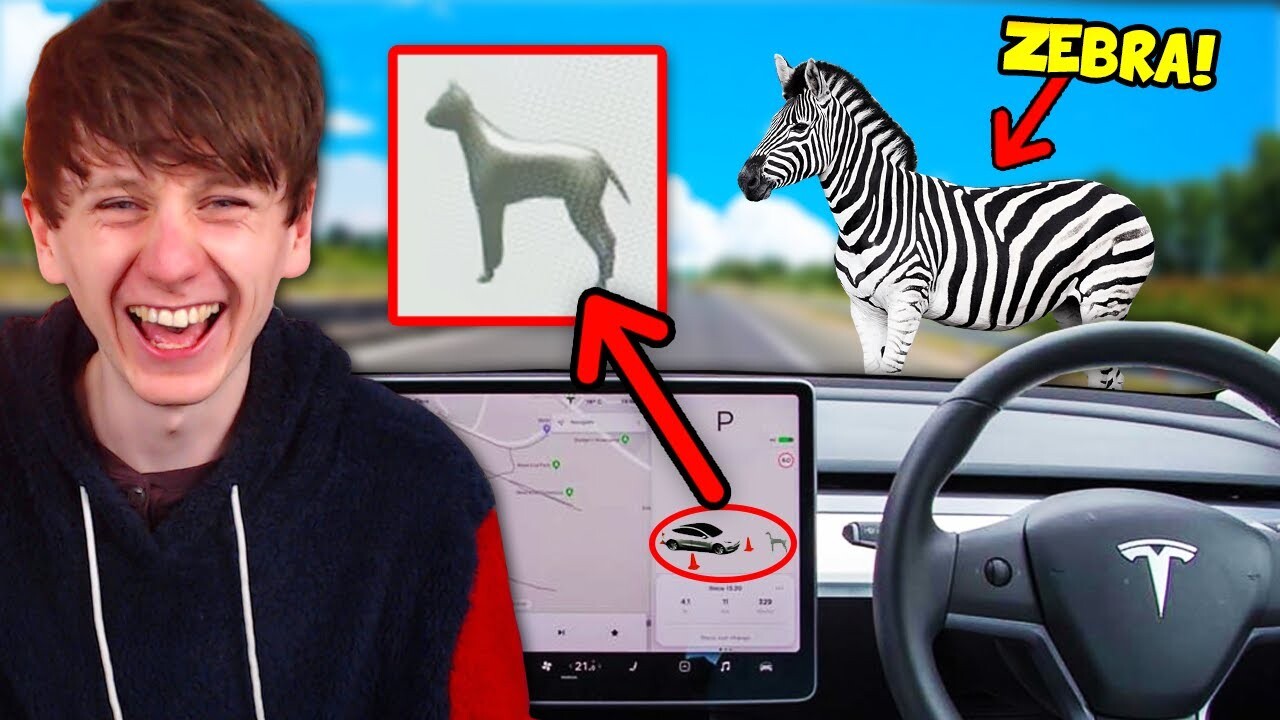 Tesla Can Officially See ANIMALS on Screen! Let's test it!