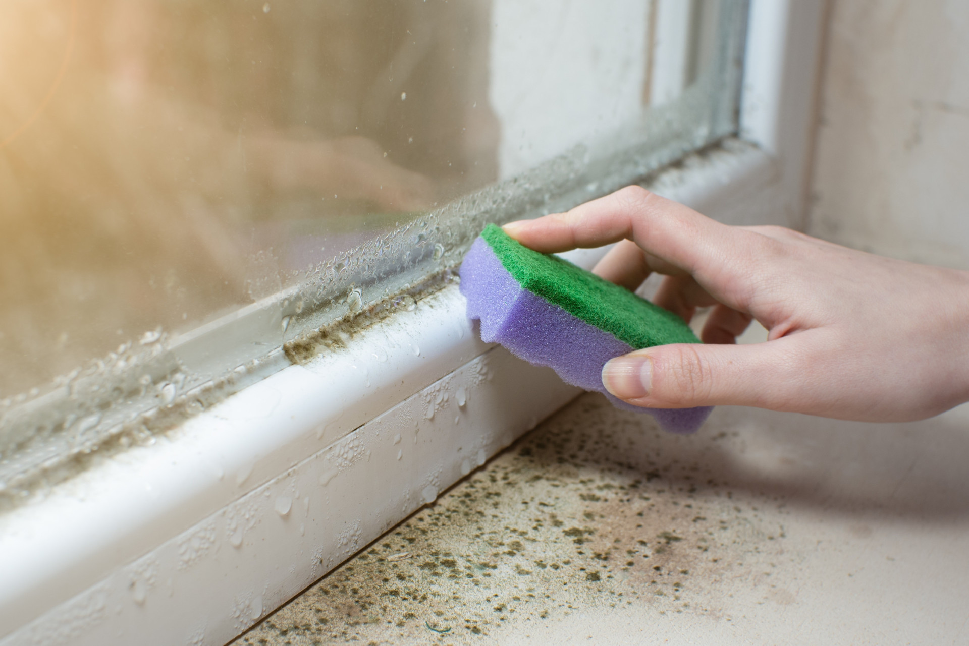 What guests notice (and overlook) in your home