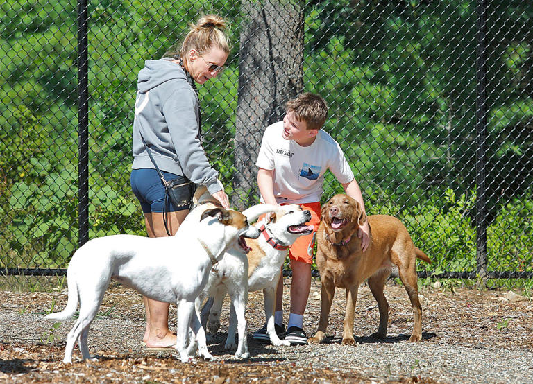 Young entrepreneurs, dog day, soft rock: 5 things to do on the South ...