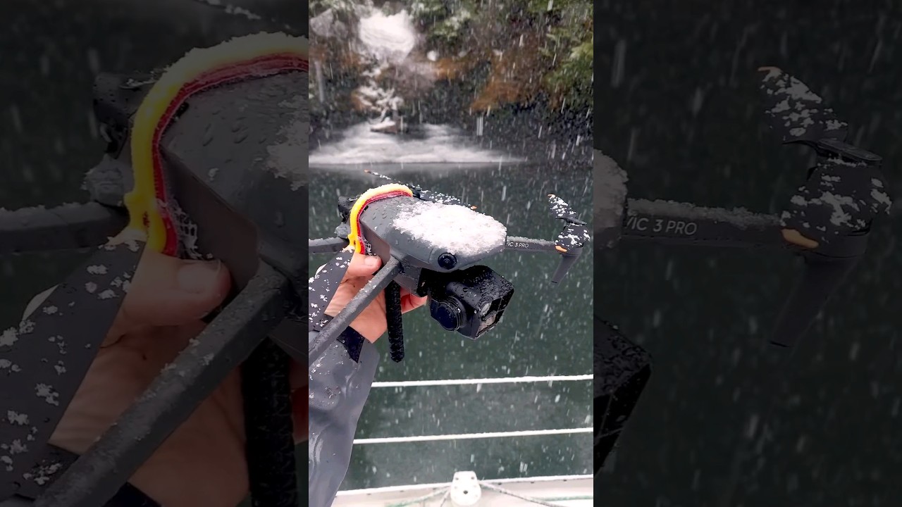 Alluring Arctic Sailing - MSN