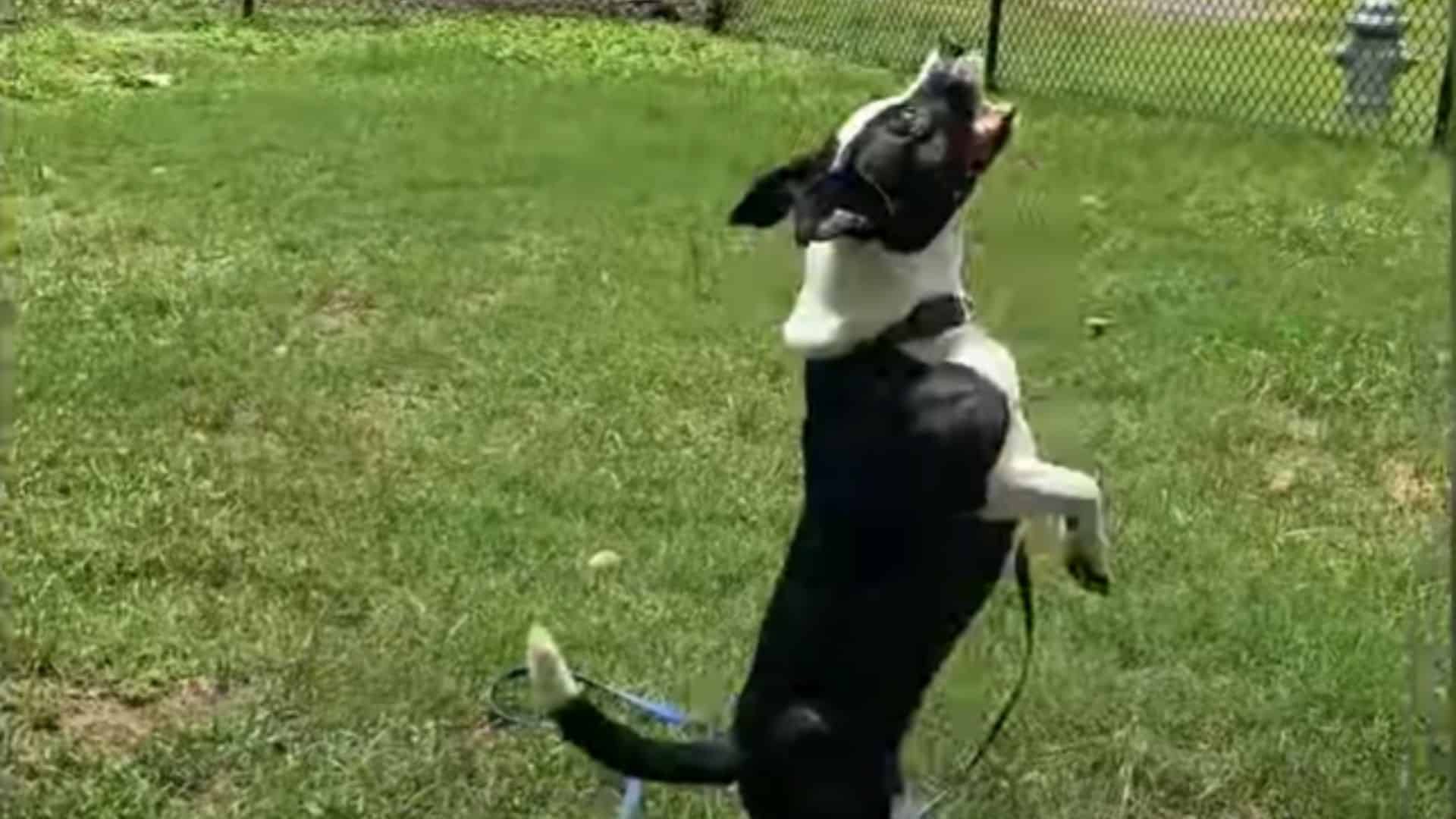 10 Weed Control Hacks That Actually Work