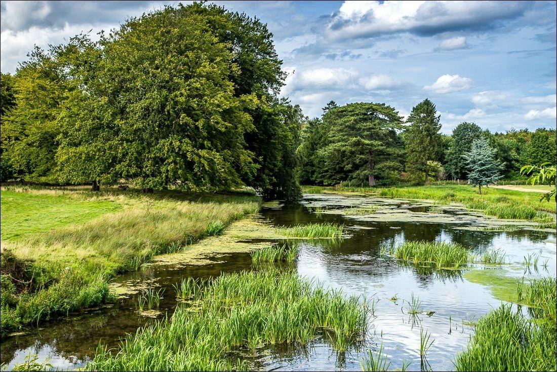 Scampston Walled Garden announces free community weekend for Ryedale ...