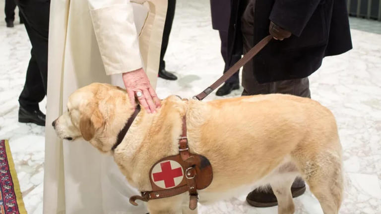 Warum hat Papst Franziskus 2013 einen Blindenhund gesegnet?