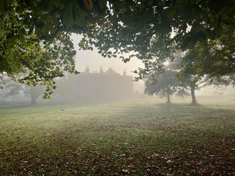 Scampston Walled Garden announces free community weekend for Ryedale ...