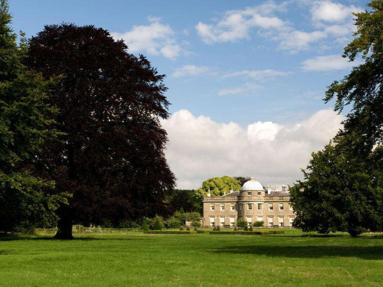 Scampston Walled Garden announces free community weekend for Ryedale ...