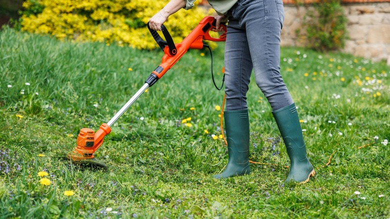 String Trimmer Vs. Brush Cutter: What's The Difference?