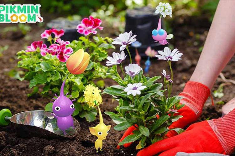 Hari Bumi 2025, Ayo Berjalan Kaki dan Menanam Bunga Massal di Aplikasi ...