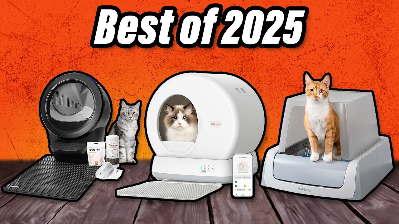 Best Automatic Cat Litter Boxes 2025 These Are My Favorite 7