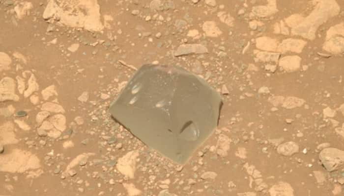 NASA's Perseverance Discovers Mysterious Dark Rock On Mars Named 'Skull ...