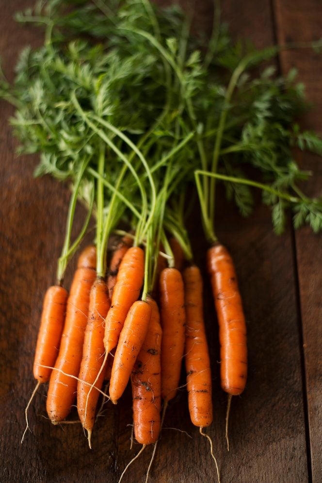 10 Fast-Growing Vegetables You Can Harvest Quickly
