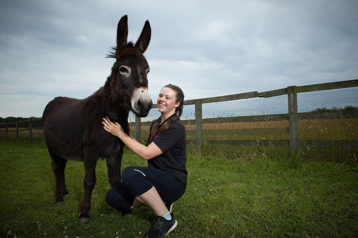 Wonkey Donkeys: Donkey therapy on offer inside Yorkshire’s largest ...