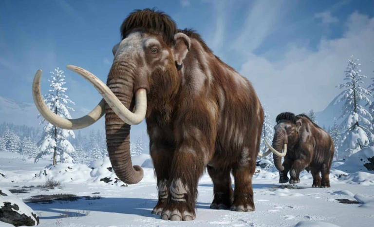 This Is (By Far) the Oldest Mammoth Ever Discovered in America — And We ...