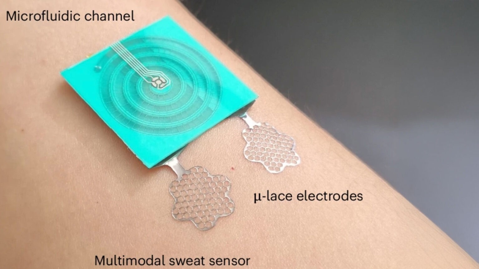 Wearable Sweat Sensor for Real-Time Hydration Assessment