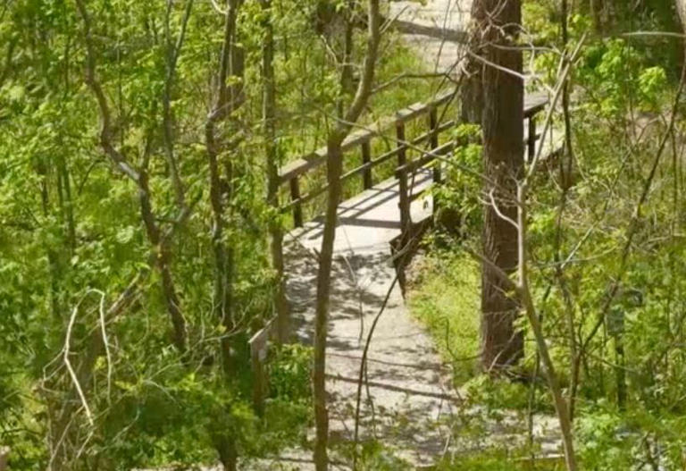 Springfield Conservation & Nature Center preserving a little piece of ...