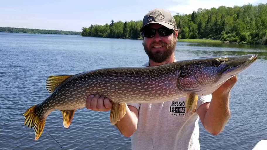 Top 5 Lures for Savage Northern Pike