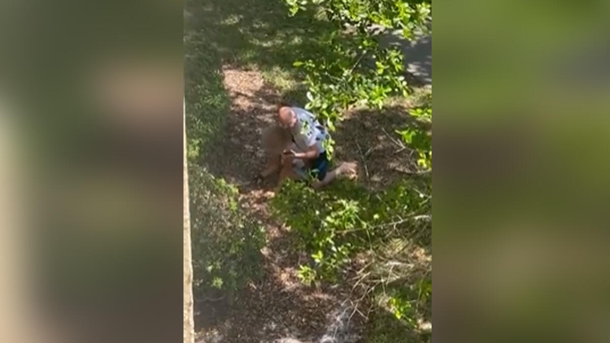 Video Shows Girl Scream Out For Help As Man Pins Her Down In Wooded Area