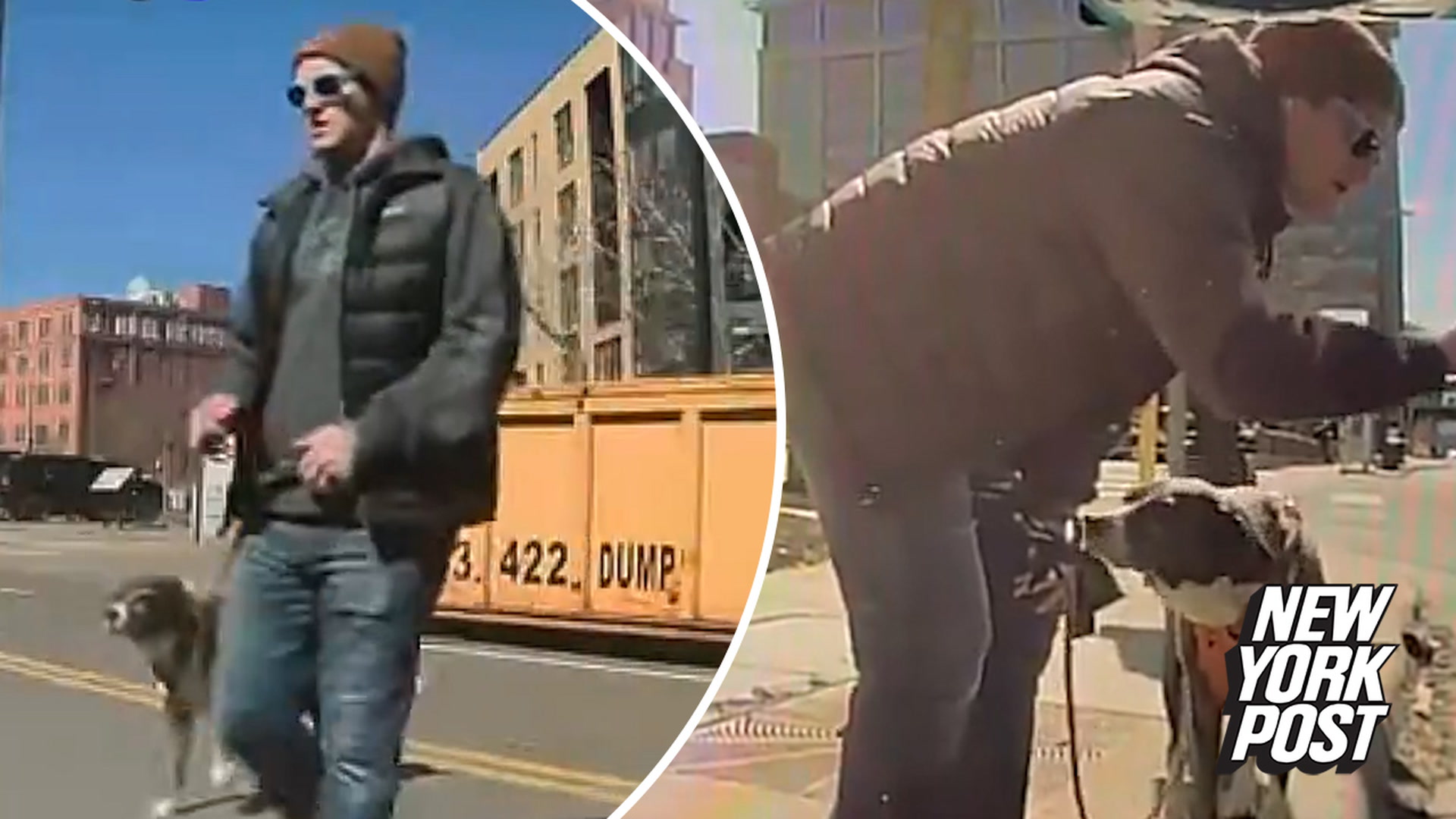 Tim Walz employee caught vandalizing Tesla will not face charges