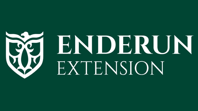 Enderun Extension to offer tech-focused certification programs
