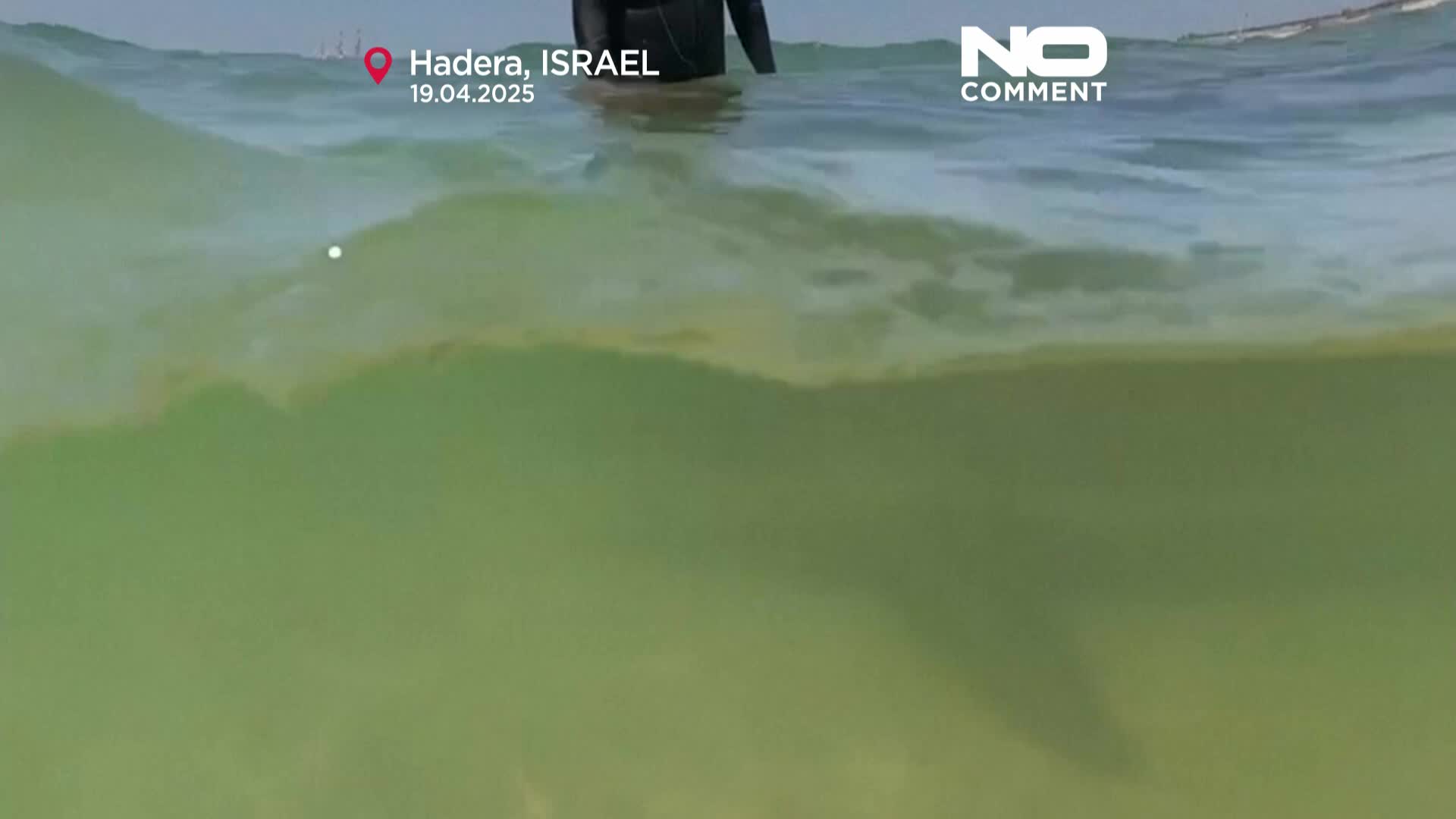Search underway after suspected shark attack on Israeli coast