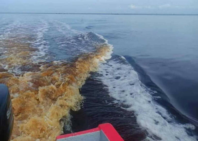 Molasses spill hits four Negros town villages