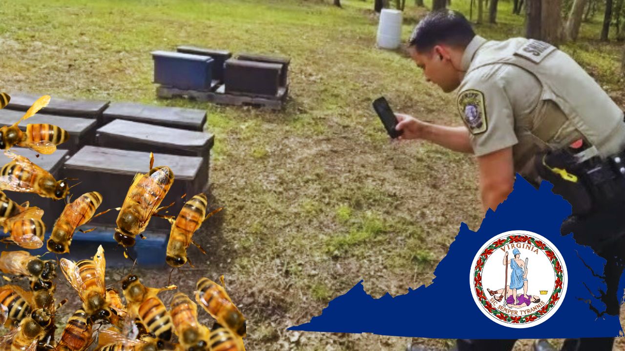 Agroterrorism is Now Targeting Bee Farms