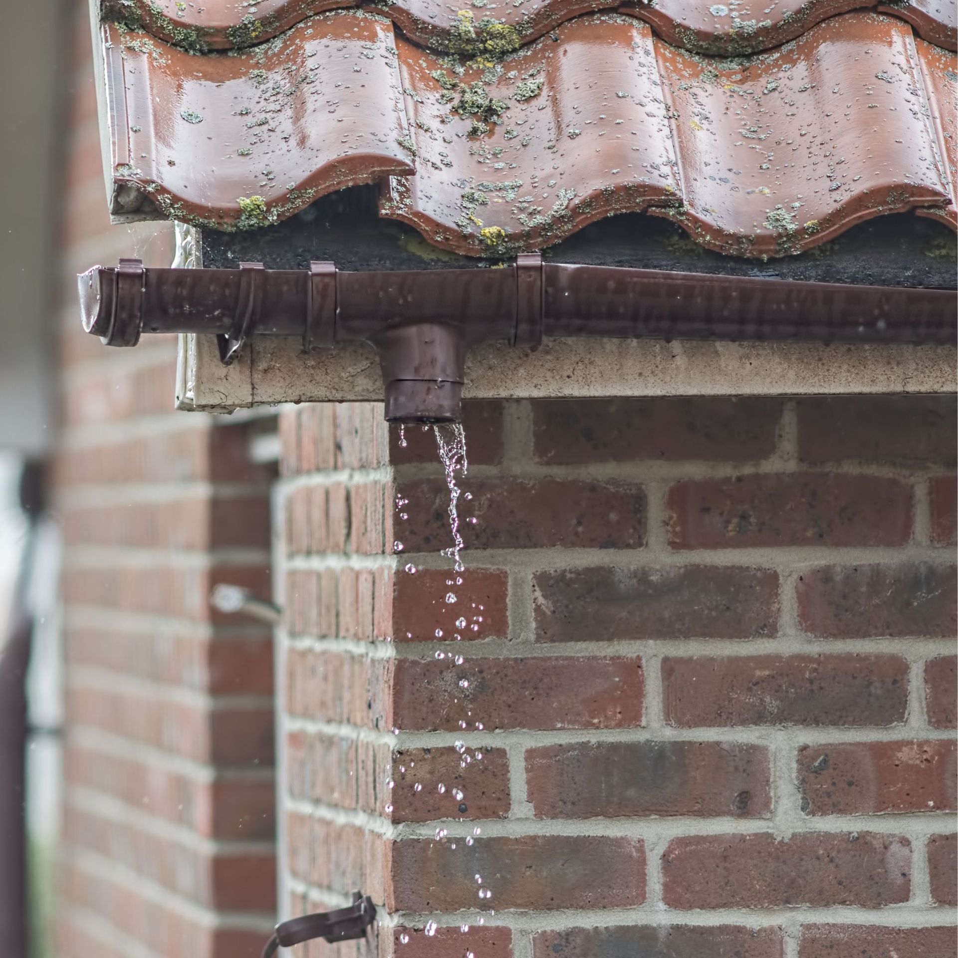 How to fix a leaky gutter – expert advice on what you'll need to get ...