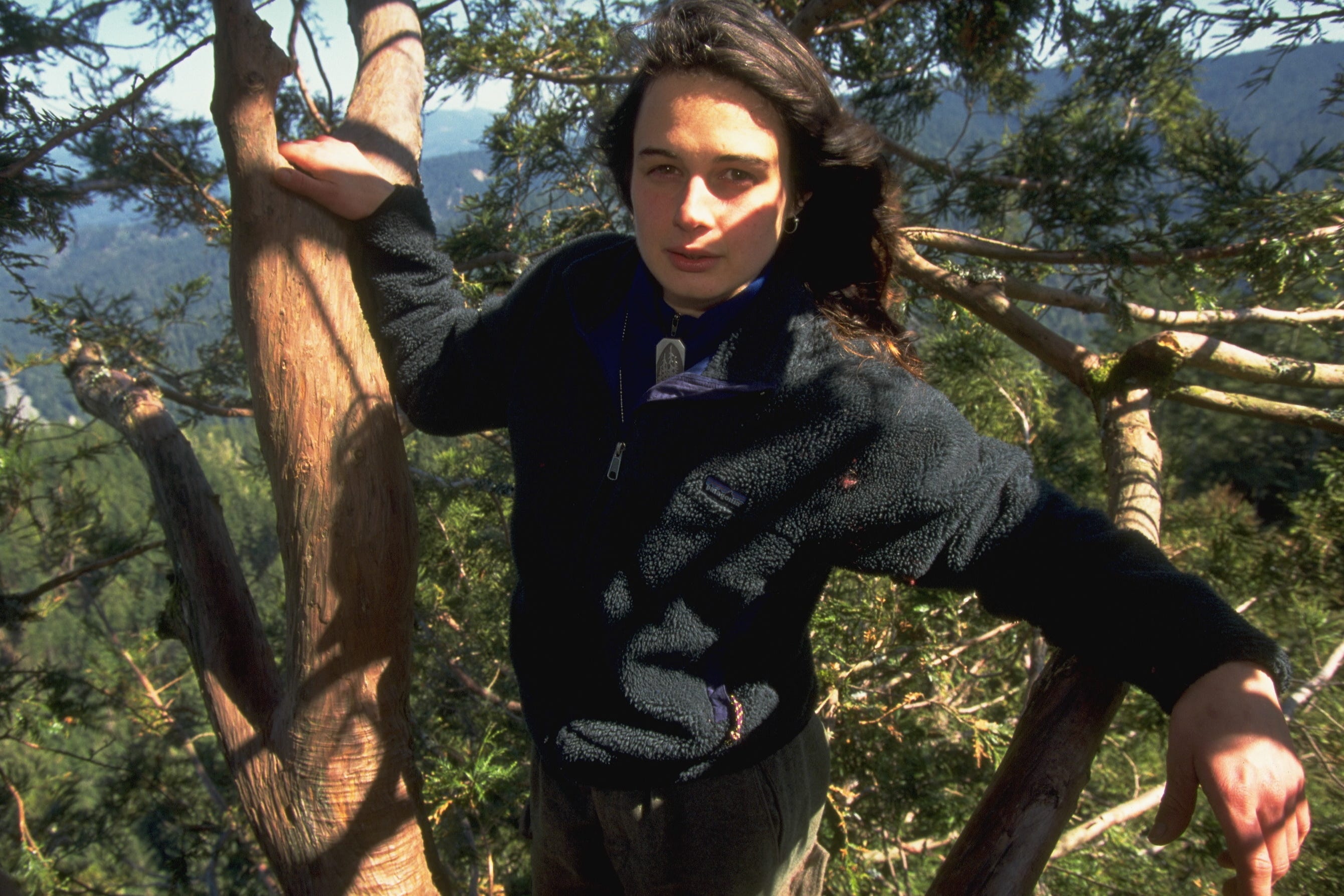 A woman lived up a 180-foot, 1,000-year-old tree for 2 years to save a ...