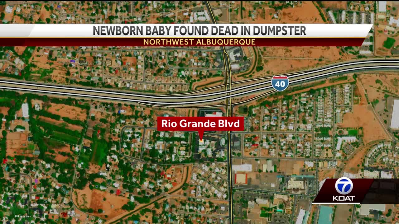 Police investigate after newborn baby found dead in a dumpster in ...