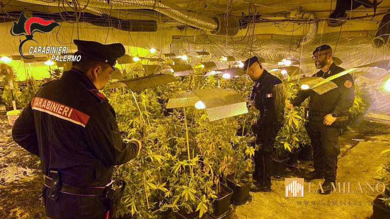 Maxi operazione tra Partinico, Borghetto e Montelepre: arresti, denunce ...