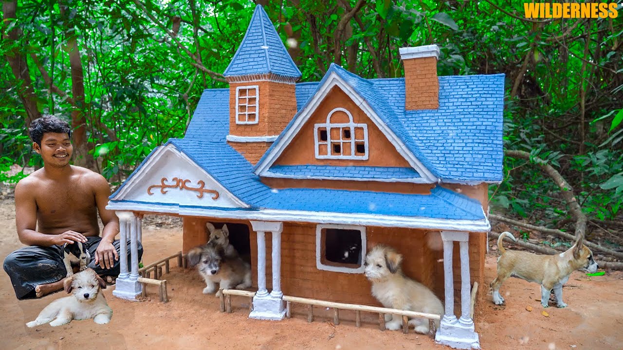 A Magical Puppy Paradise Built by Hand Where Rescued Dogs Find Comfort ...