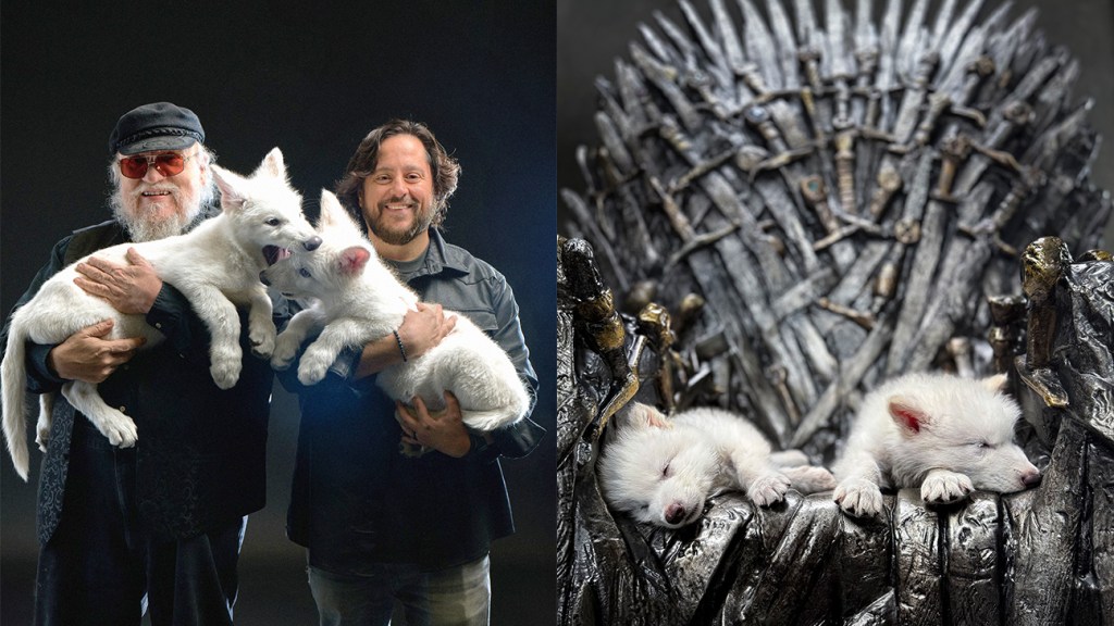 The Dire Wolf's Hollywood DNA