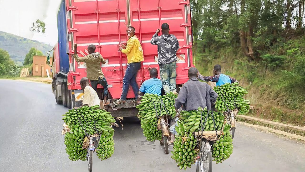 Africa’s Risky Solution to Transport Food Hooked to a Truck
