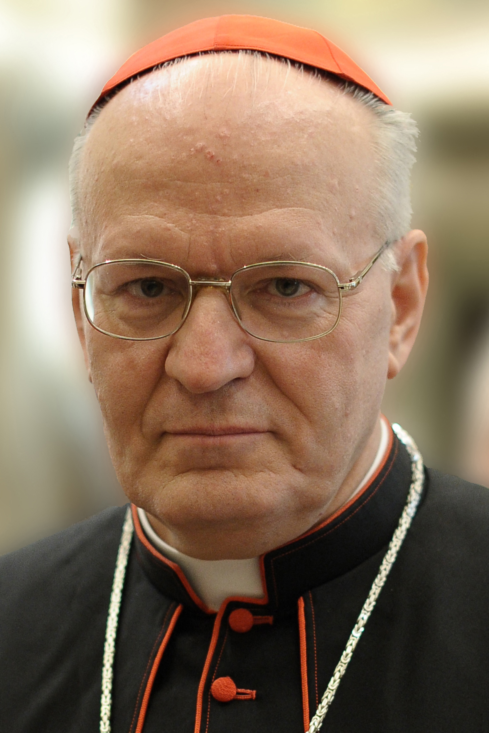 Who could be the next pope after Francis? All the cardinals in the ...