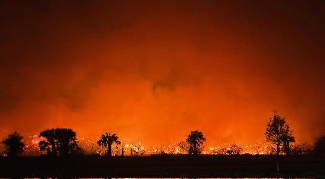 Vegetation fire in Palm Bay under control but still smoking