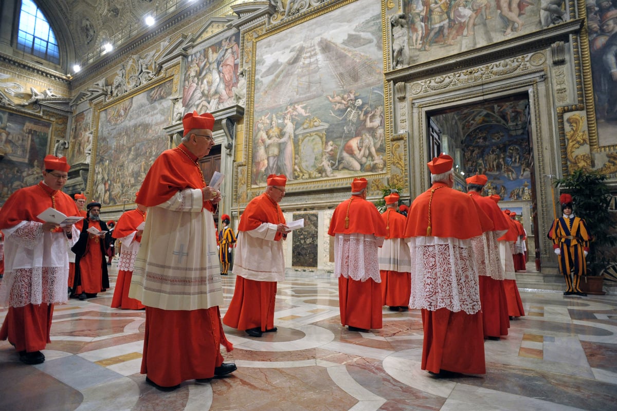 Who could be the next Pope after Francis? All the cardinals in the ...