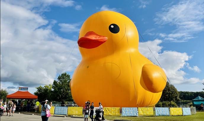The duck stops here: World’s Largest Rubber Duck coming to Myrtle Beach