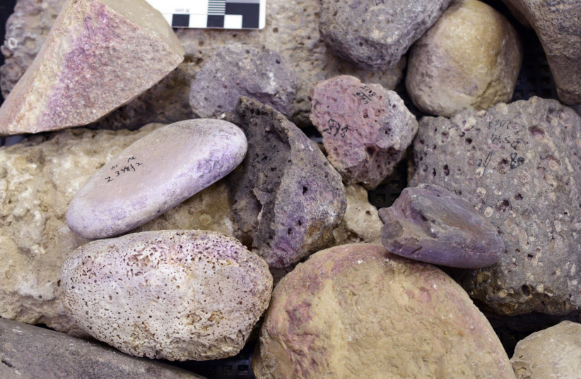 Tel Shikmona reveals evidence of ancient purple dye production