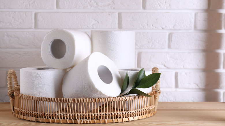 Repurpose A Toilet Paper Wall Holder Into Decorative Plant Decor