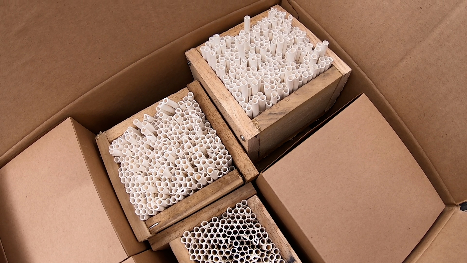 Zoo campers make bee boxes